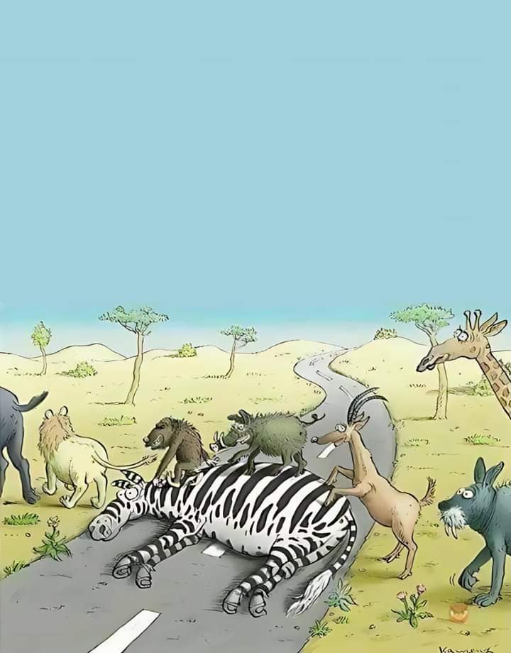 Solve Zebra crossing jigsaw puzzle online with 20 pieces
