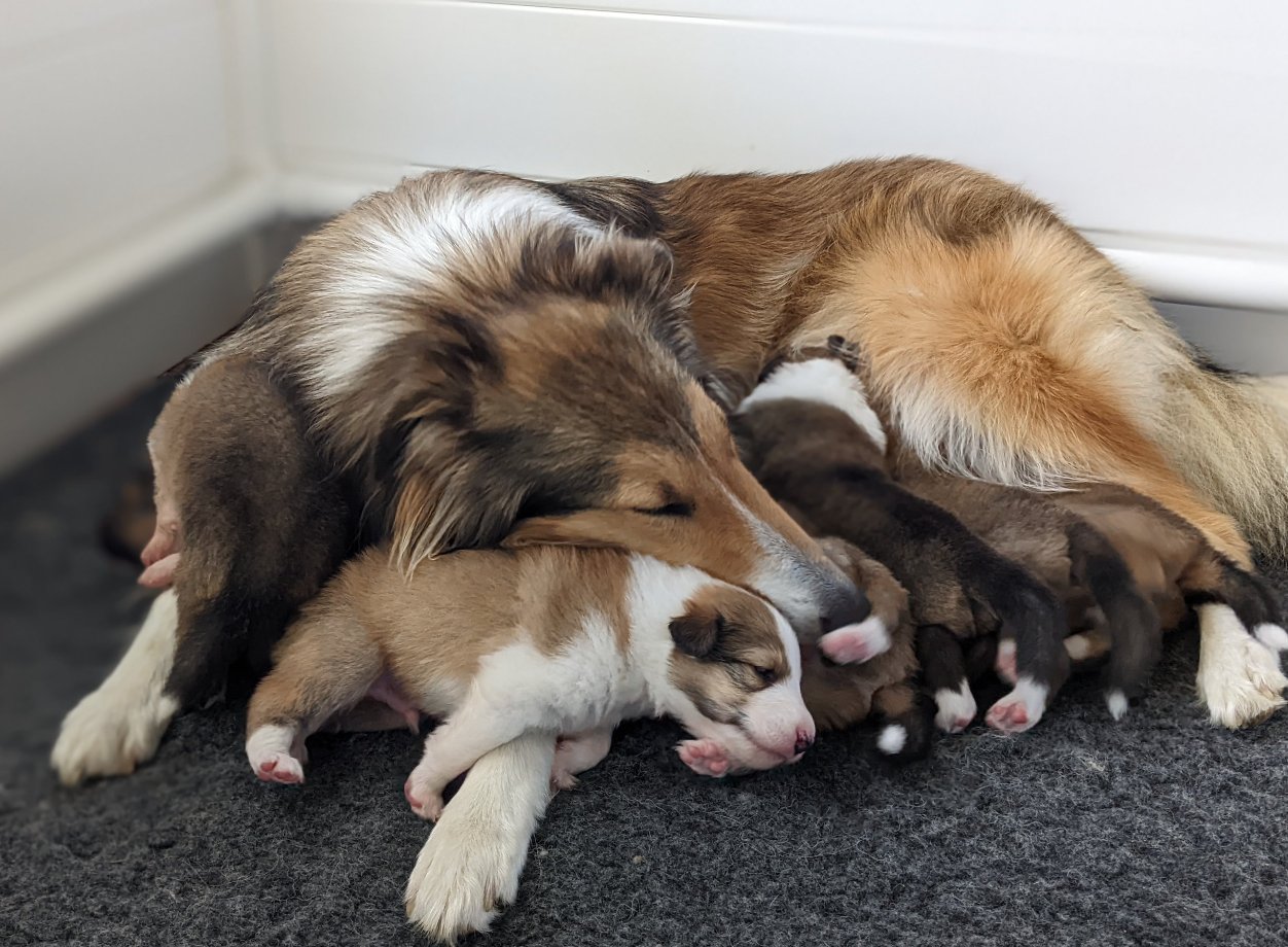 Solve "In All the World, there is No Love for You Like Mine" ~ Maya ...