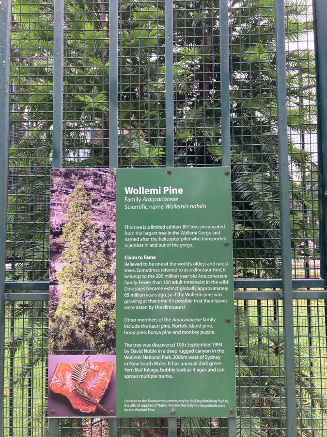 Solve This tree is a bit spesh :) jigsaw puzzle online with 30 pieces