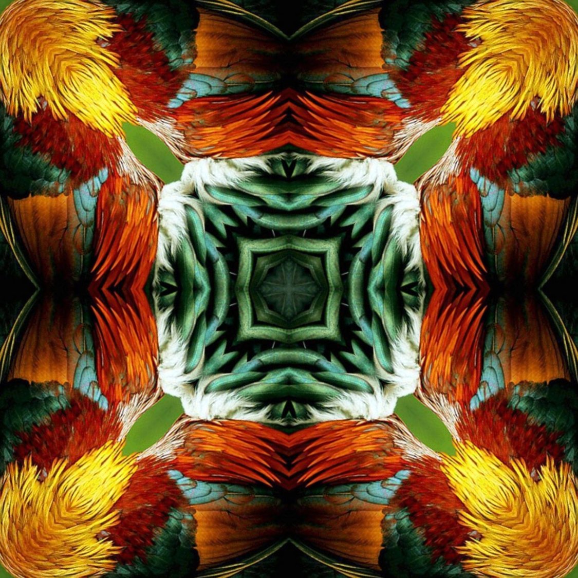 Solve #1 very small jigsaw puzzle online with 25 pieces