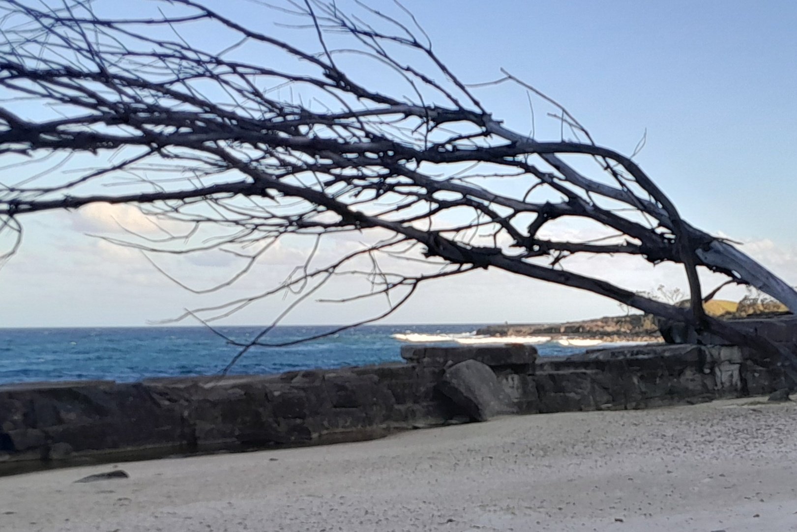 Jigsaw Puzzle | 70 pieces | Blowing in the wind | Jigidi