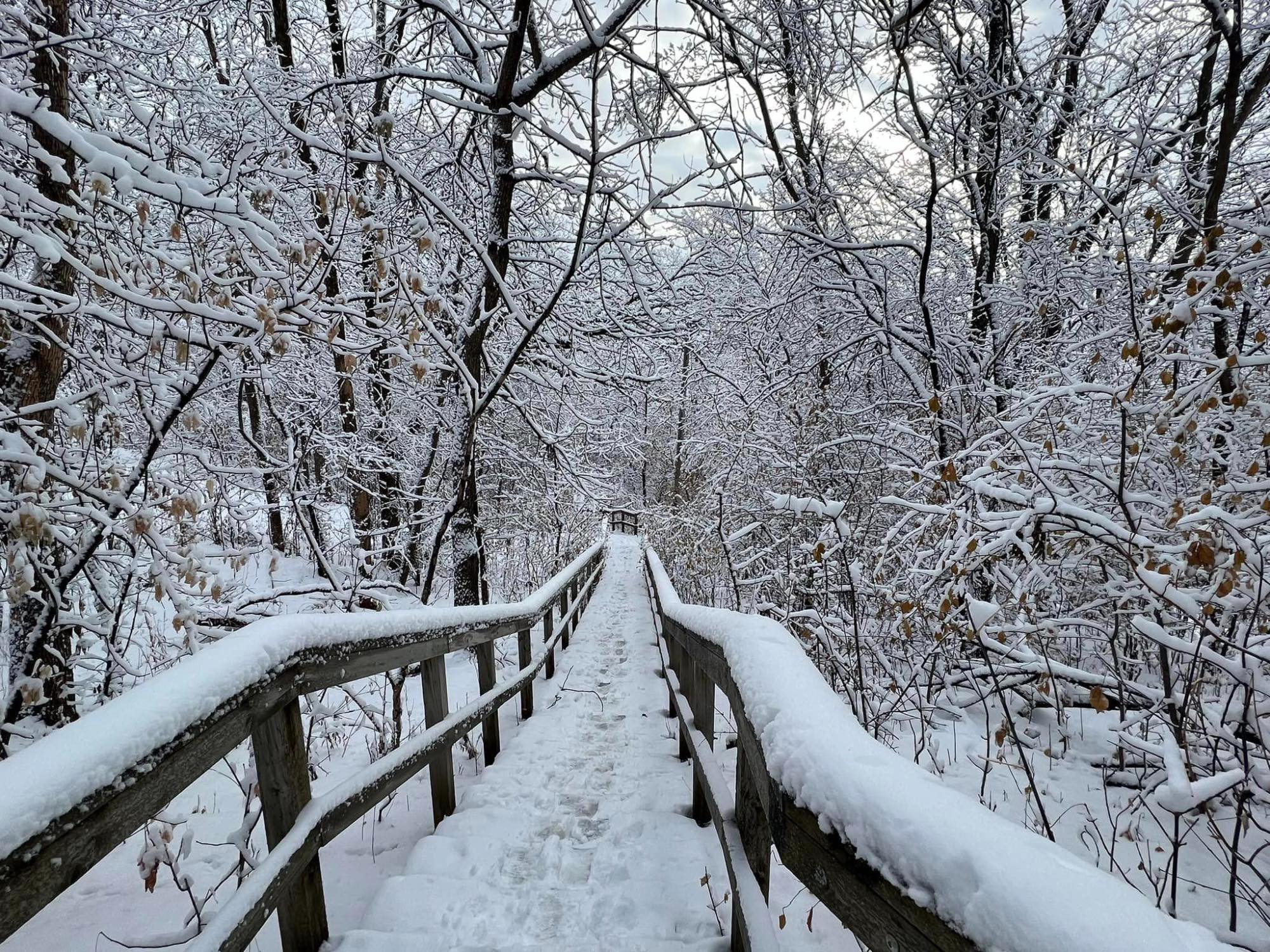 Solve Snow bridge jigsaw puzzle online with 588 pieces