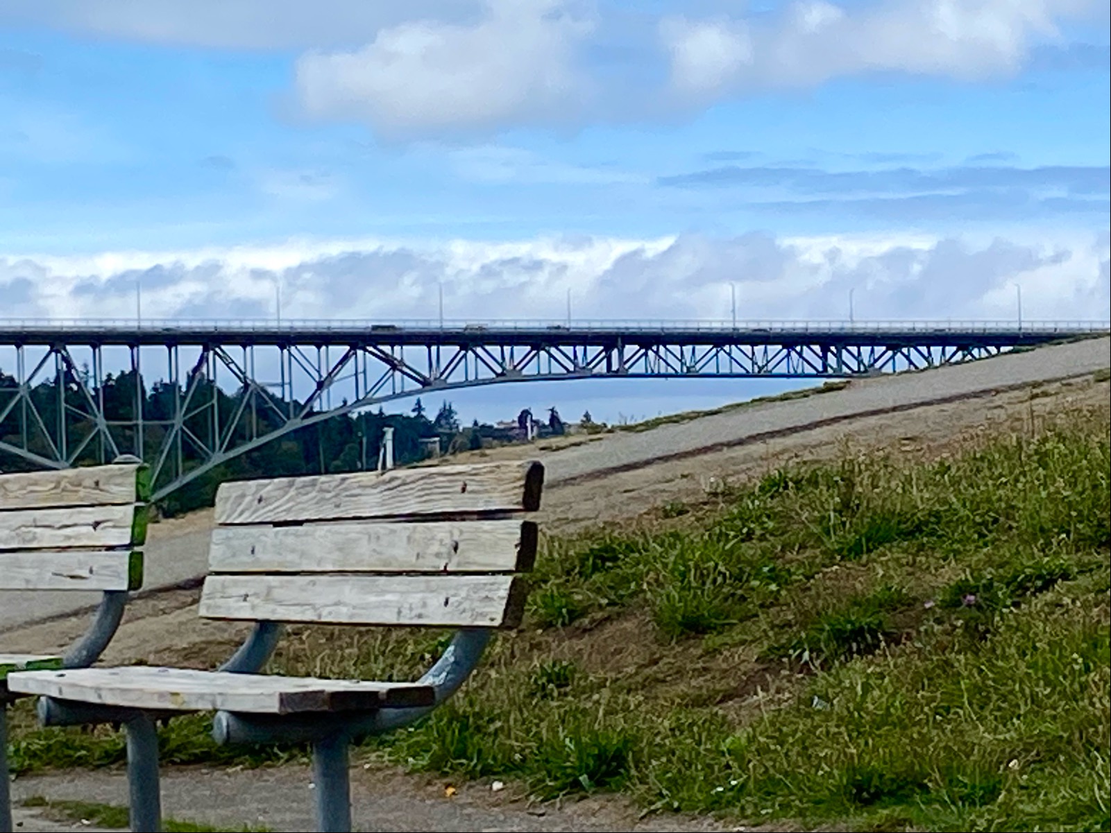 Solve Seattle park jigsaw puzzle online with 336 pieces