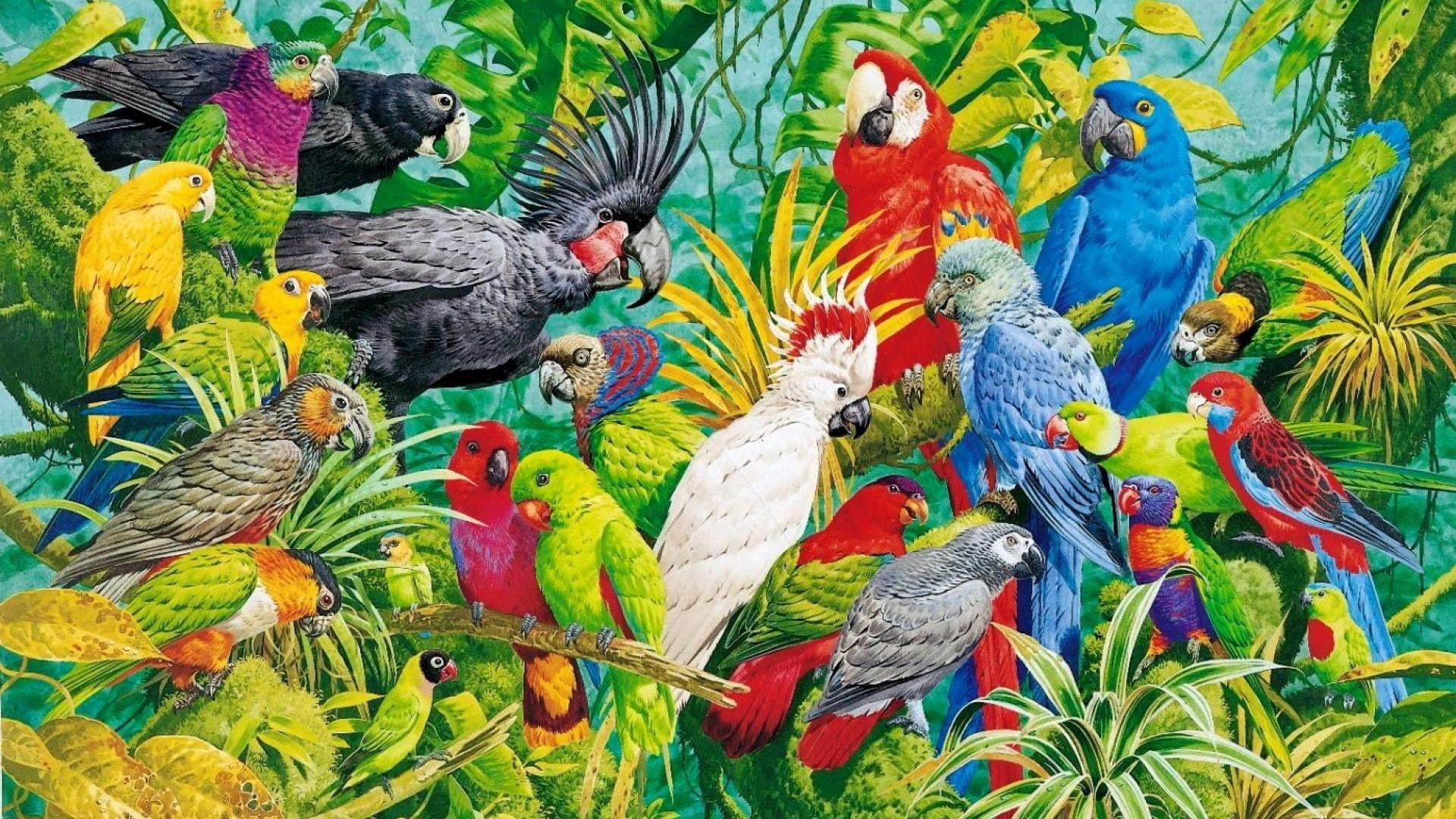 Solve Parrots jigsaw puzzle online with 336 pieces