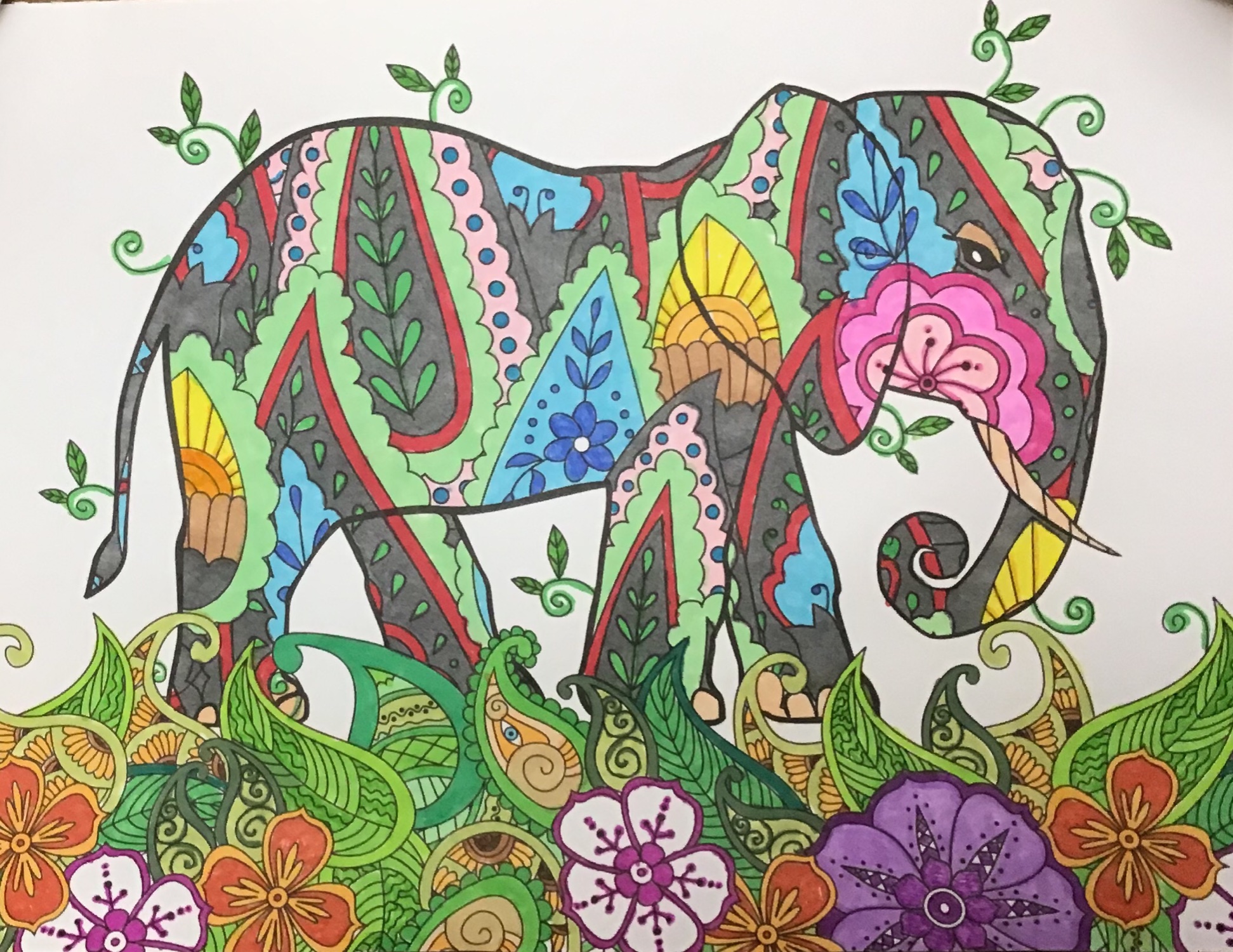 Solve Elephant jigsaw puzzle online with 204 pieces