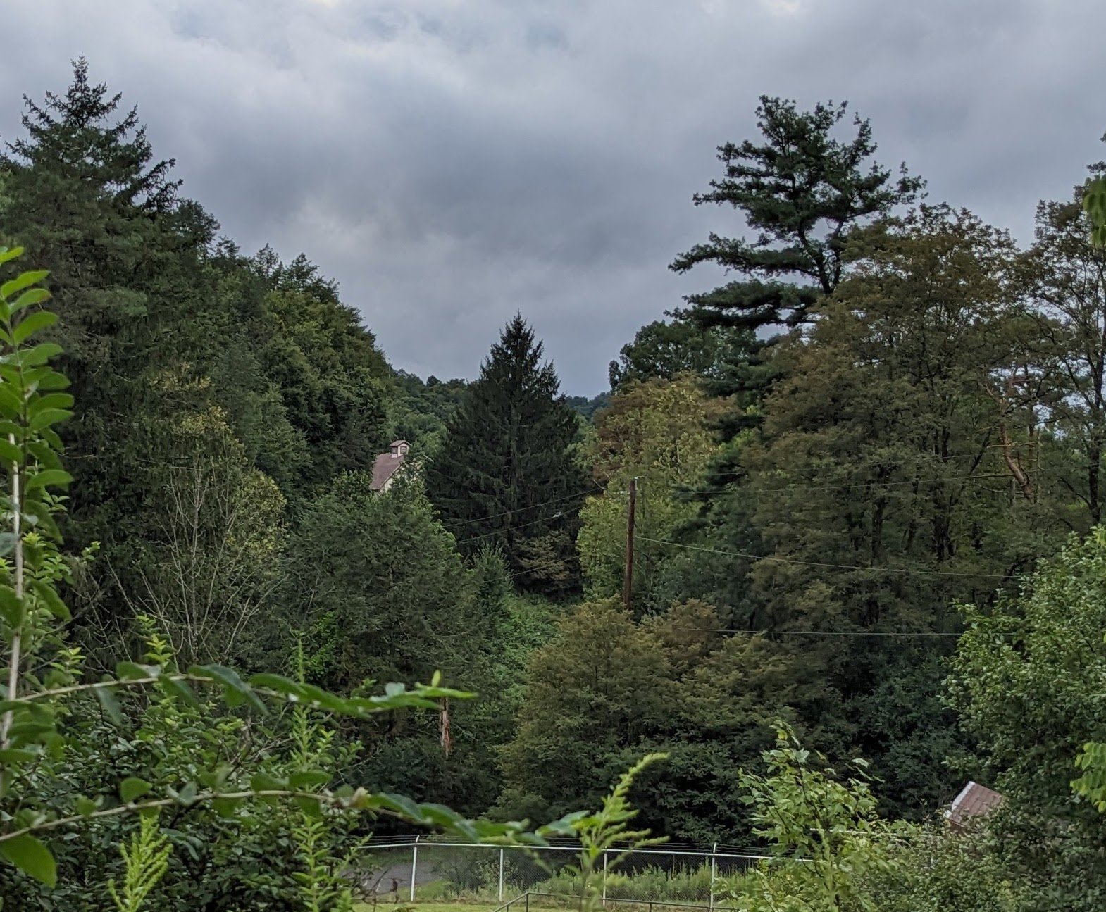 Solve Hiding on the opposite hill jigsaw puzzle online with 80 pieces