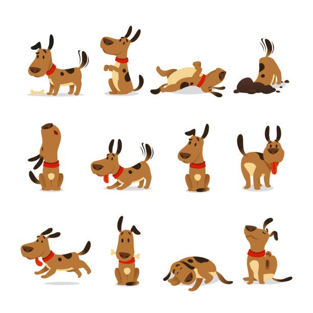 Solve dog jigsaw puzzle online with 36 pieces