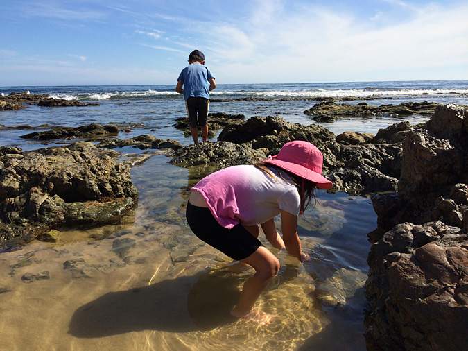 Jigsaw Puzzle | Exploring tide pools at Californias Crystal Cove State ...