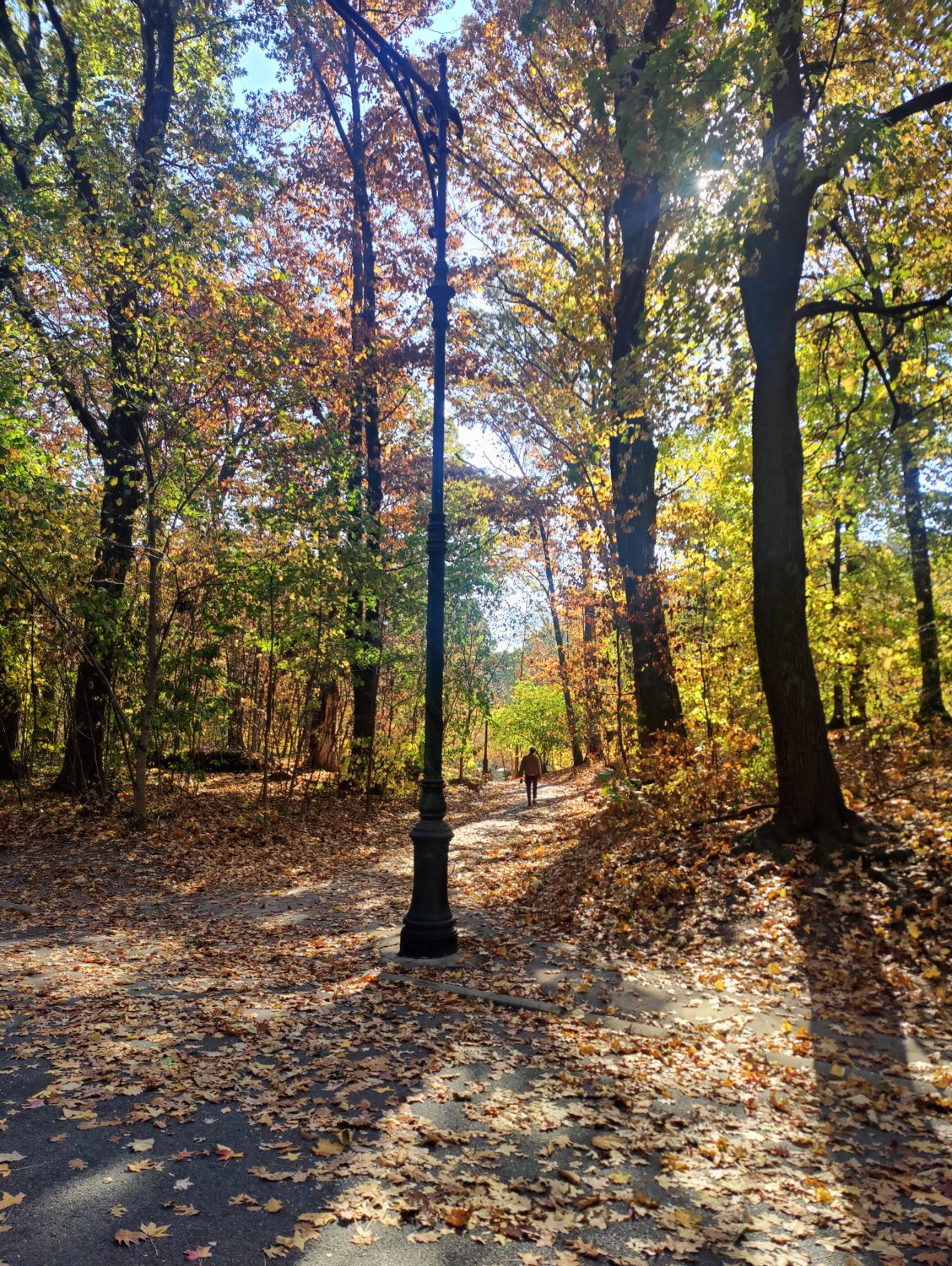 Solve Prospect Park path jigsaw puzzle online with 176 pieces