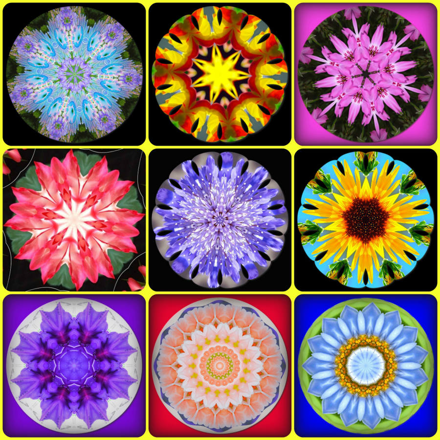 Solve Collage 3x3 jigsaw puzzle online with 81 pieces