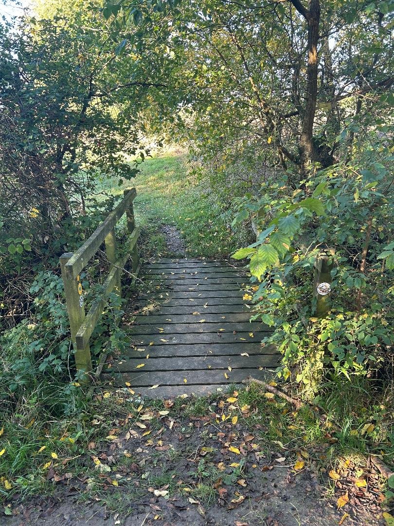 Solve Little Bridges # 3057 Caldecote jigsaw puzzle online with 48 pieces