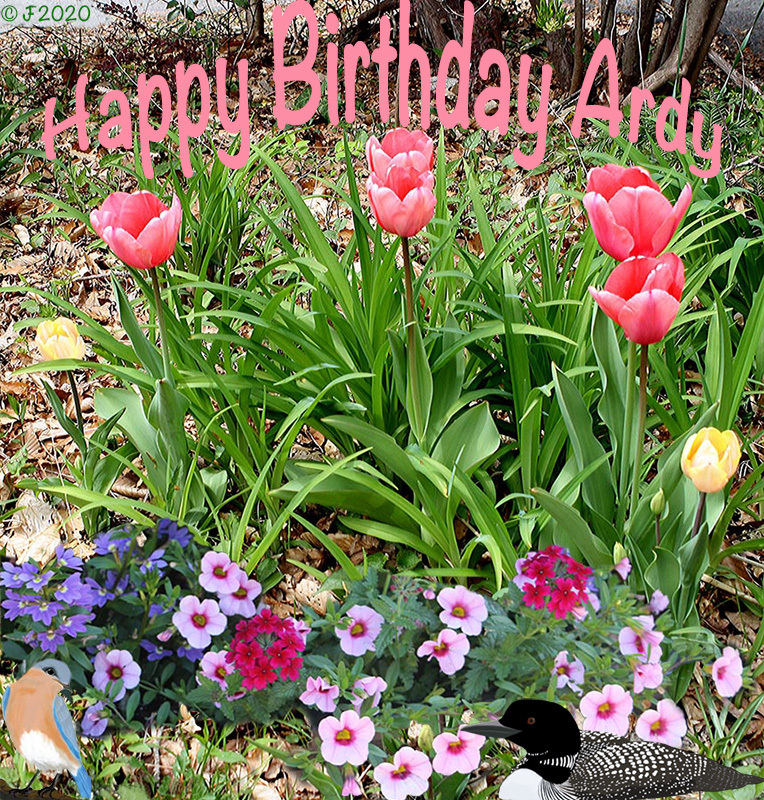 Solve Happy Birthday Ardy jigsaw puzzle online with 36 pieces