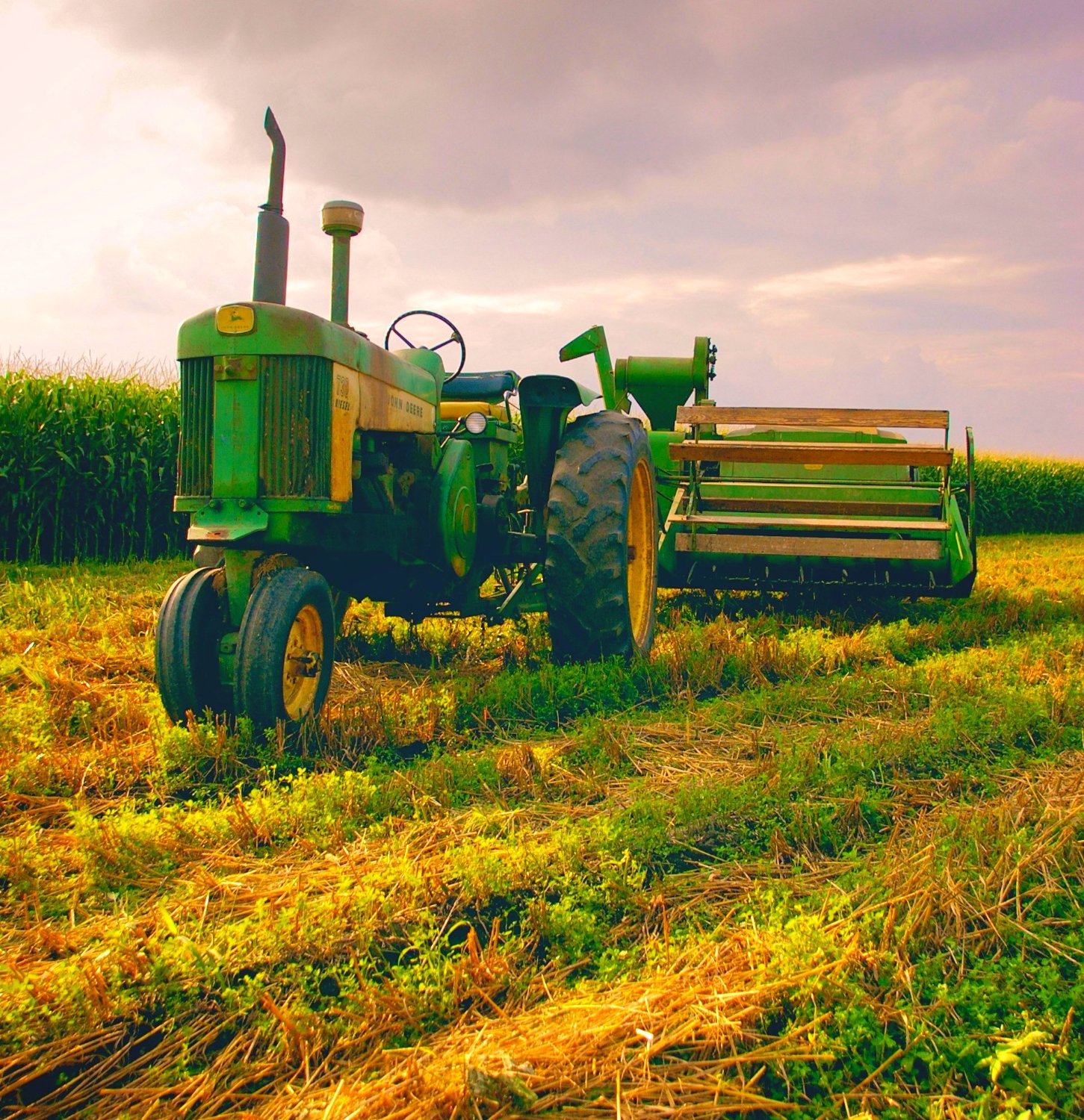 Solve tractor jigsaw puzzle online with 64 pieces