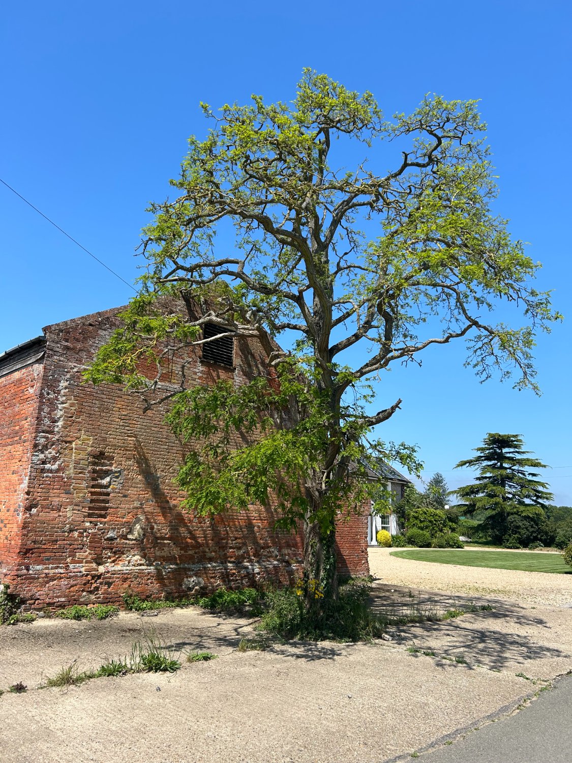 Solve Building and Tree jigsaw puzzle online with 130 pieces