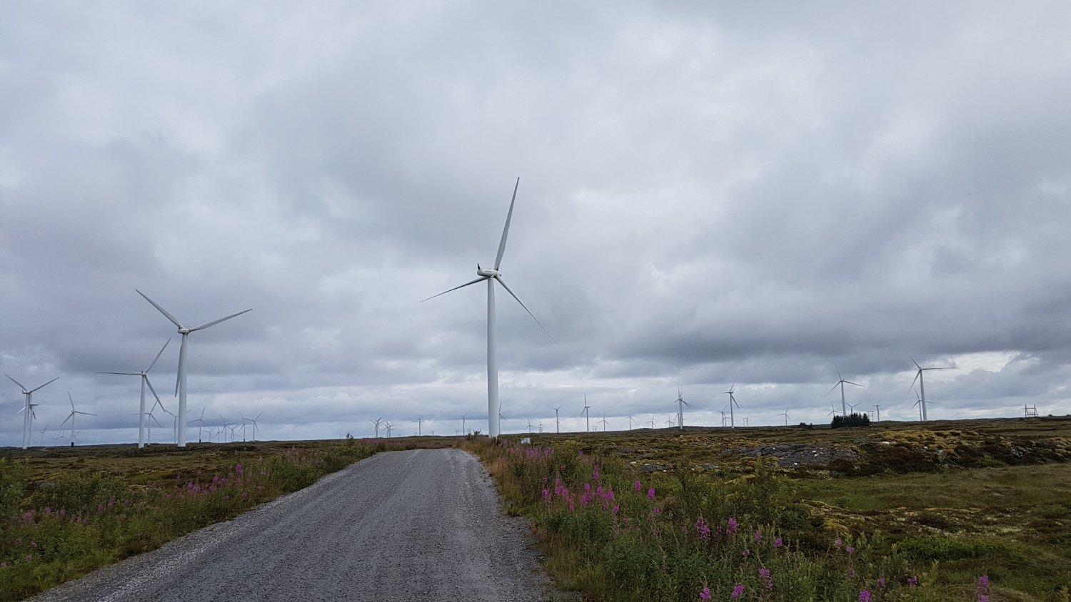 Solve Smøla Wind Farm 1 jigsaw puzzle online with 15 pieces