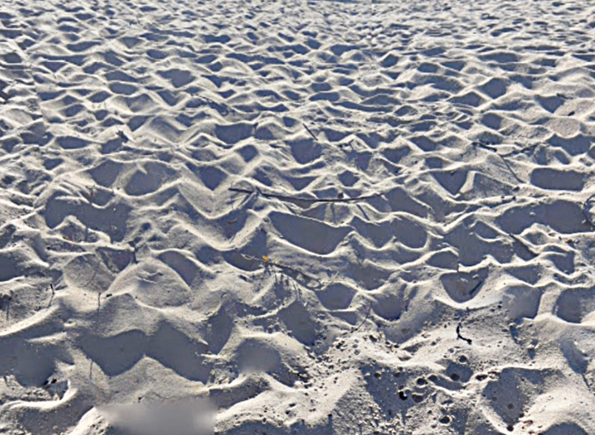 Solve SAND jigsaw puzzle online with 204 pieces