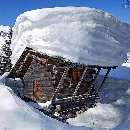 Jigsaw Puzzle | Sturdy Cabin | 49 pieces | Jigidi