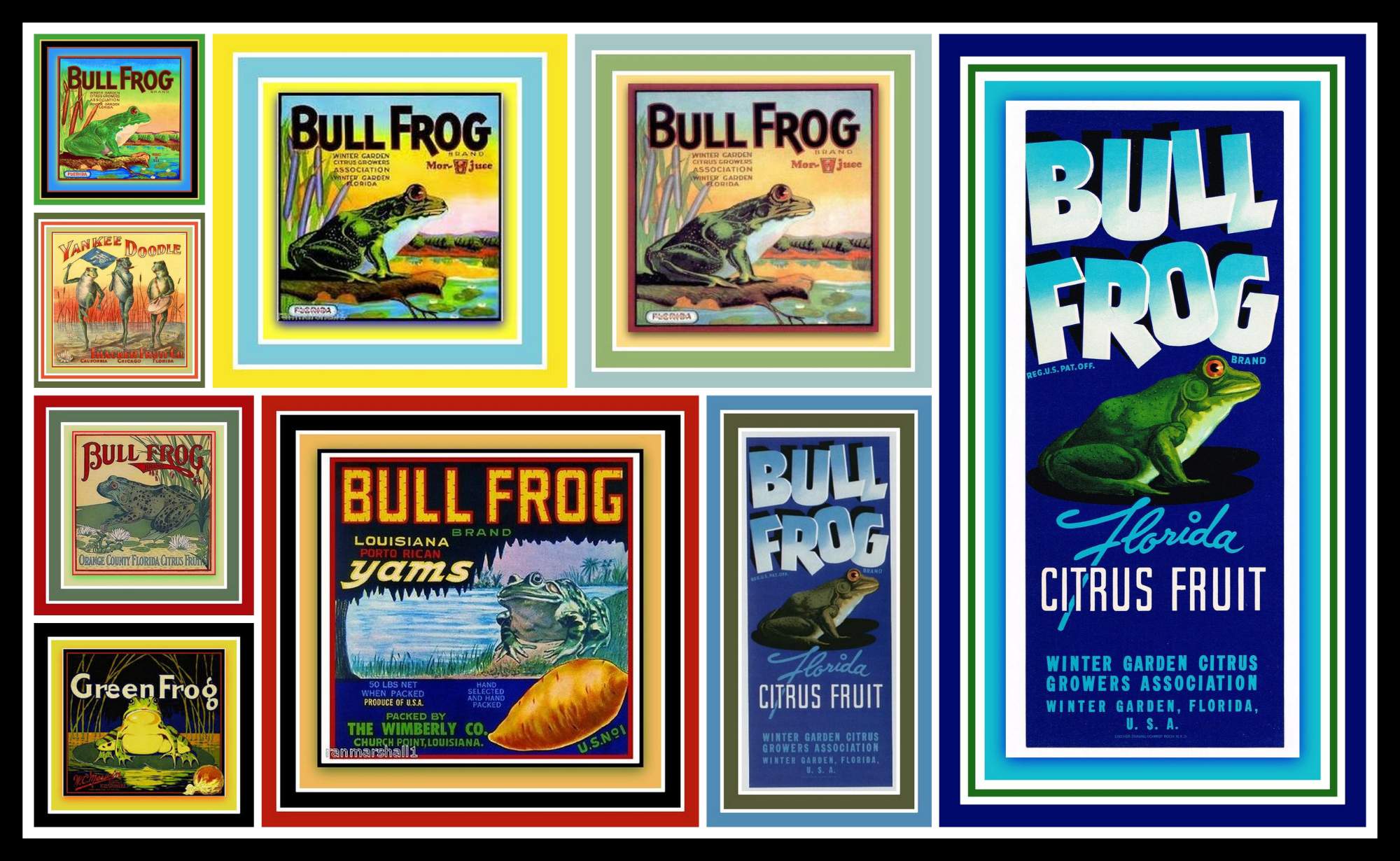 Solve Vintage Fruit Labels Depicting Frogs jigsaw puzzle online with ...