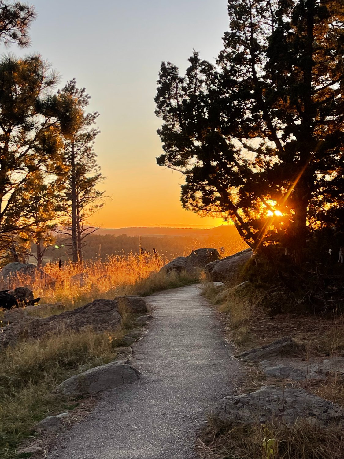 Solve Devils Tower National Monument - WY jigsaw puzzle online with 594 ...