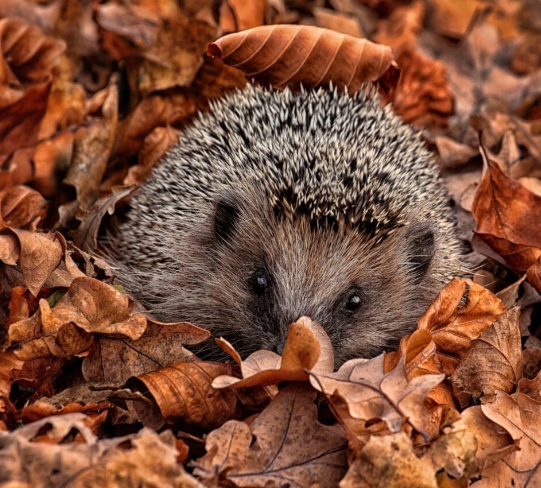 Solve sticky jigsaw puzzle online with 182 pieces