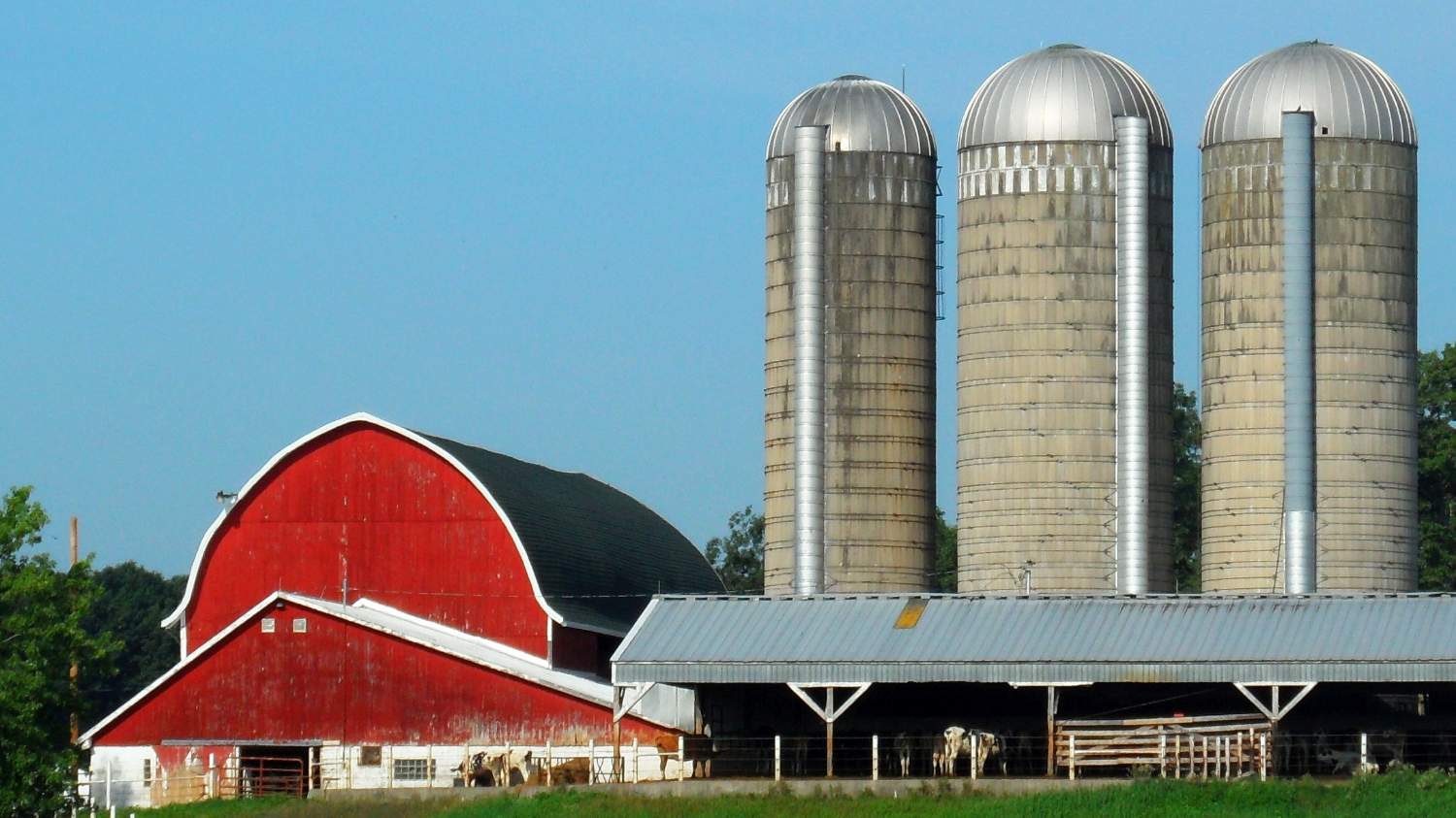 Solve Farm Scene jigsaw puzzle online with 60 pieces