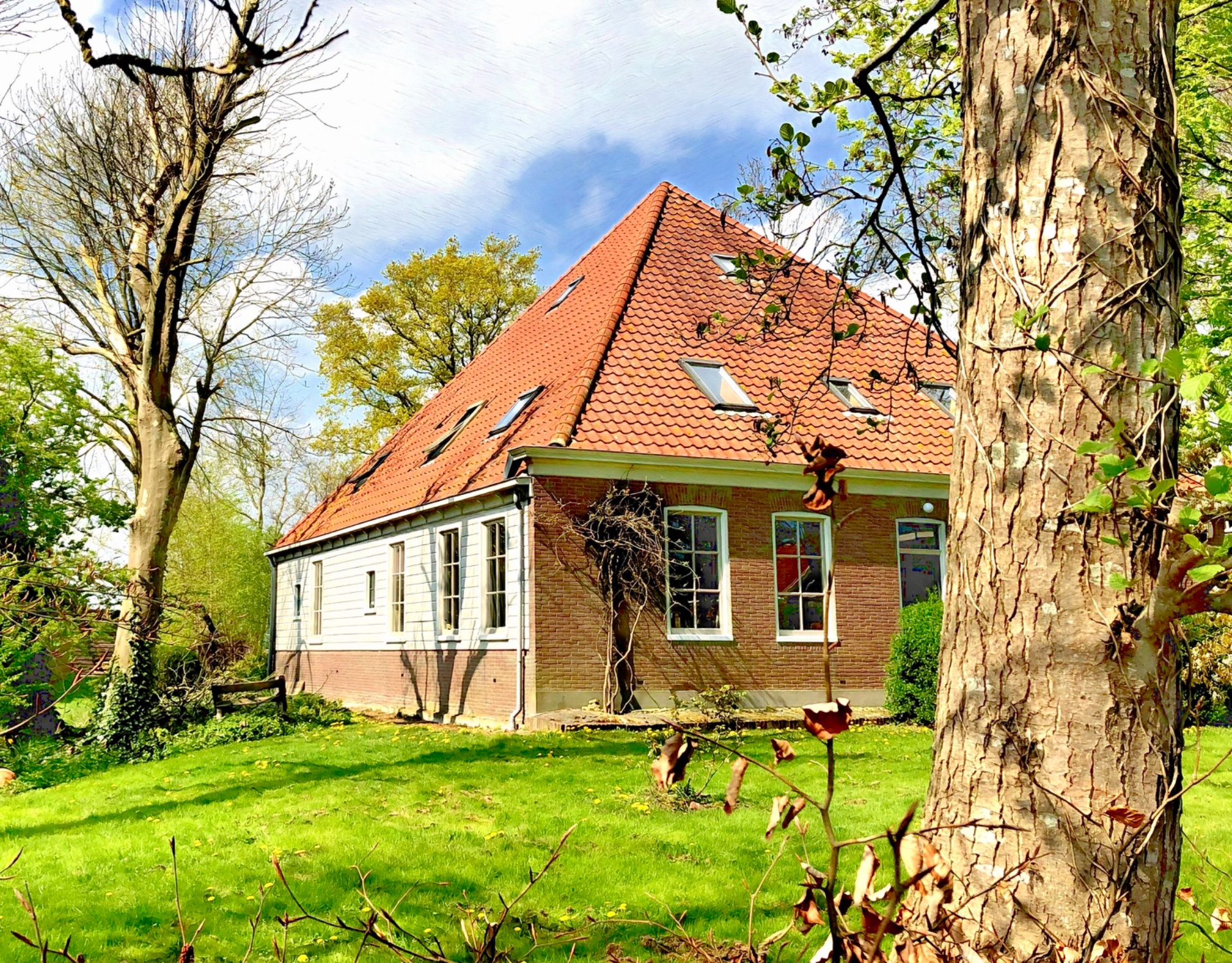 Solve Belachelijk grote puzzel jigsaw puzzle online with 594 pieces