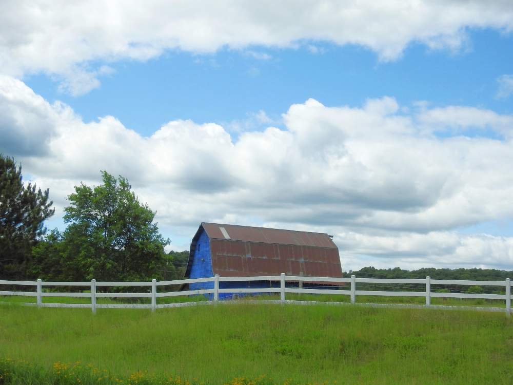 Solve blue barn jigsaw puzzle online with 12 pieces