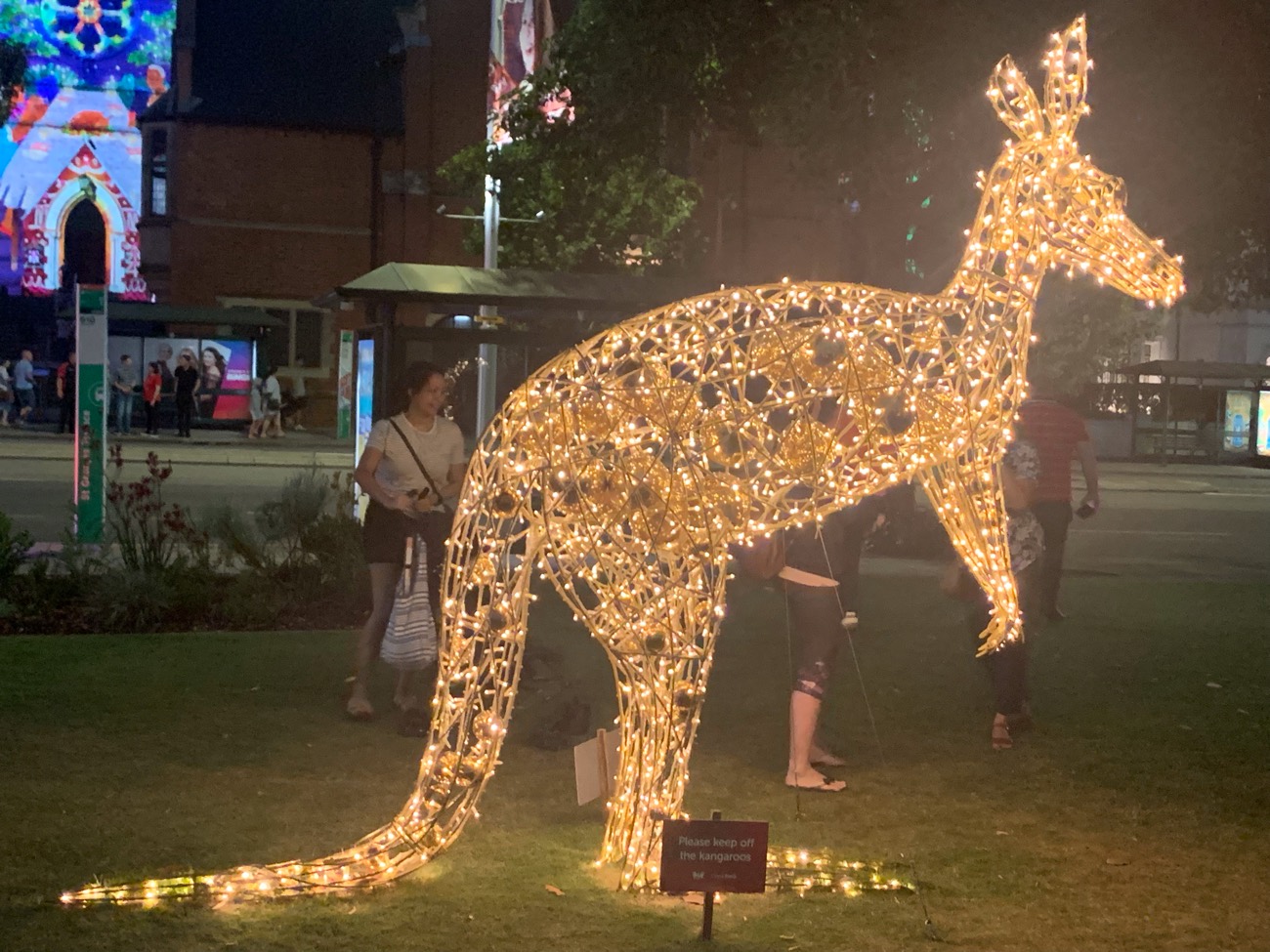 Solve A kangaroo made of lights for Christmas jigsaw puzzle online with ...