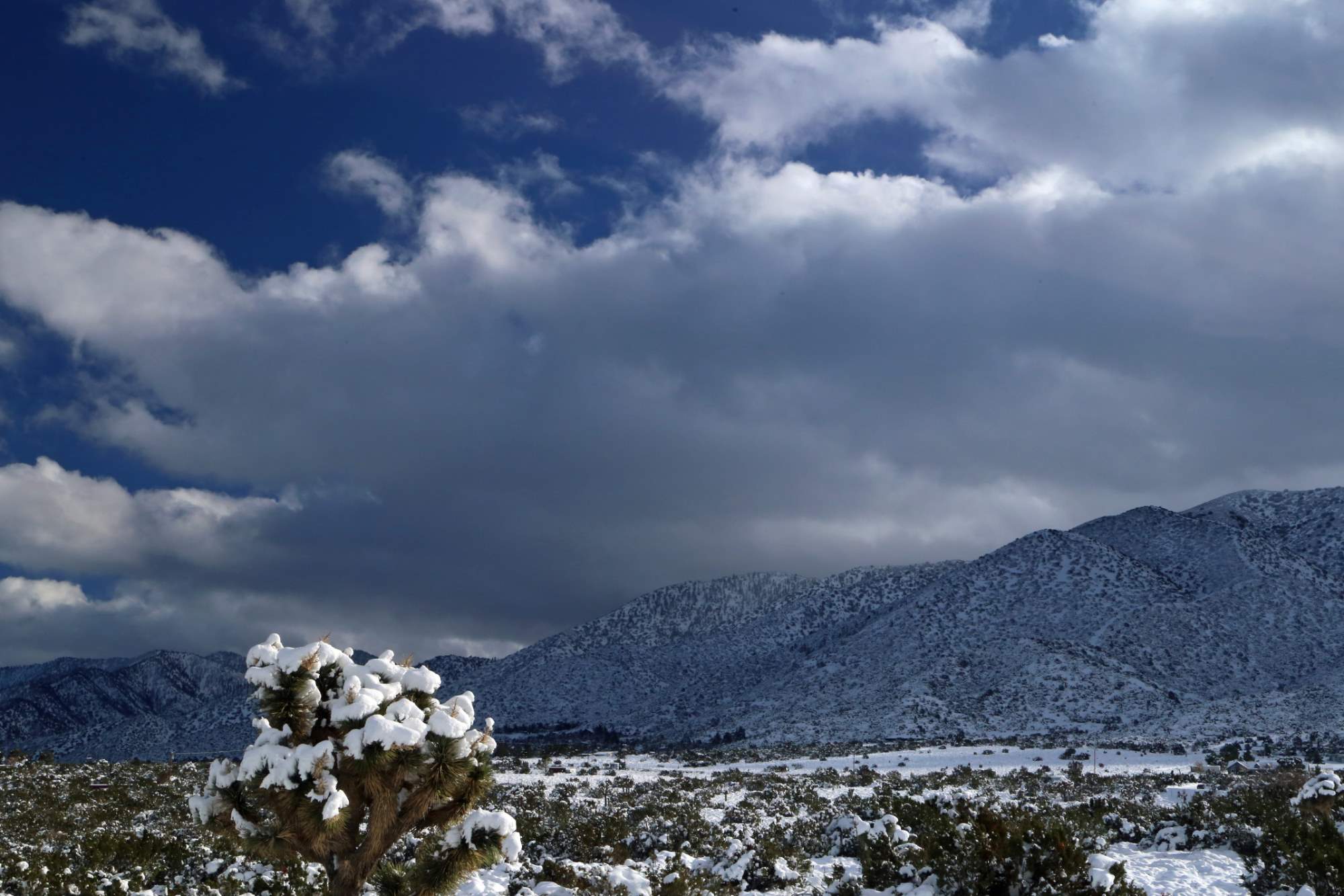 Solve High Desert Winter jigsaw puzzle online with 468 pieces