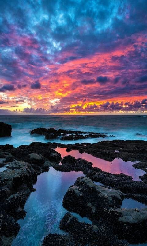 Puzzle | 84 pièces | Tide pool Sunset | Jigidi