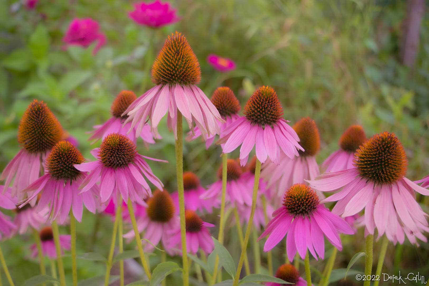 Solve The Cone Zone jigsaw puzzle online with 117 pieces