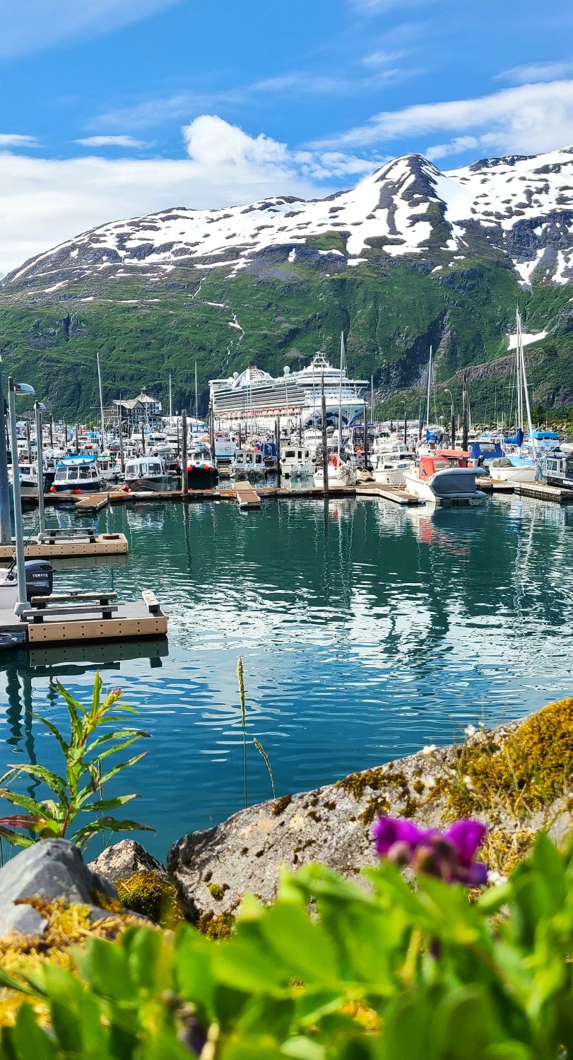 Solve Kelly in Alaska - Beautiful Whittier jigsaw puzzle online with 66 ...