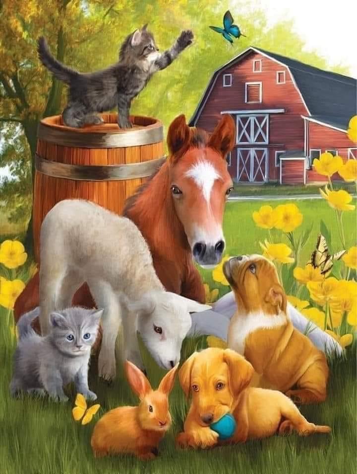 Solve FARM ANIMALS jigsaw puzzle online with 165 pieces