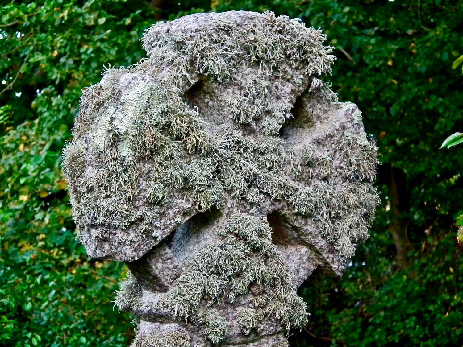 Solve Hairy Gravestone jigsaw puzzle online with 99 pieces