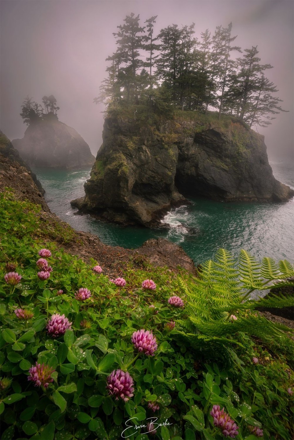 Solve Misty Oregon Coast- Clover and Tiny Island Dreams jigsaw puzzle ...