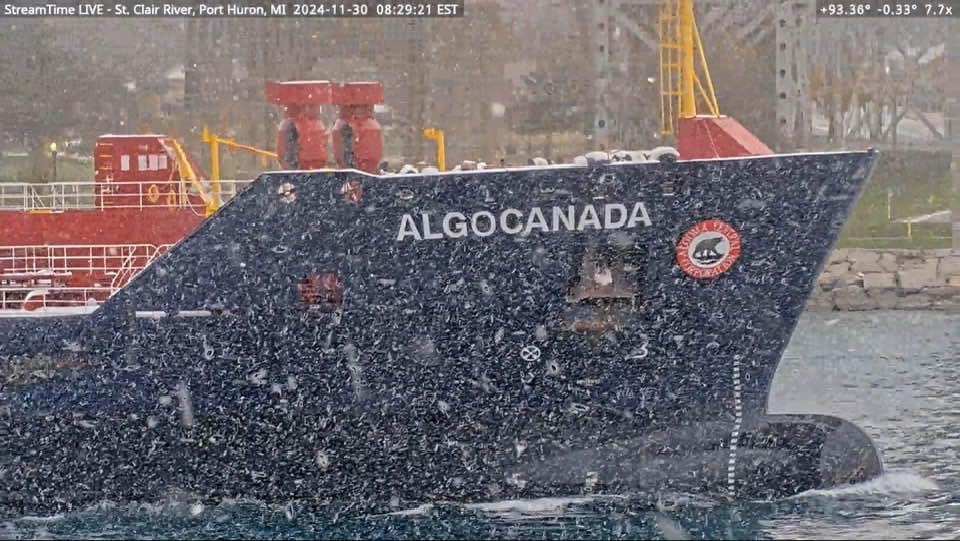 Solve Algocanada in the snow, Port Huron 11-30-24 jigsaw puzzle online ...