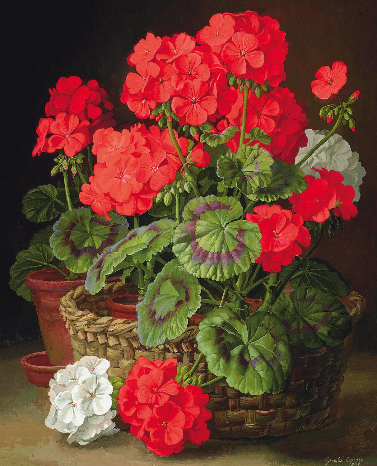 Solve Gerald A Cooper - Geraniums jigsaw puzzle online with 143 pieces