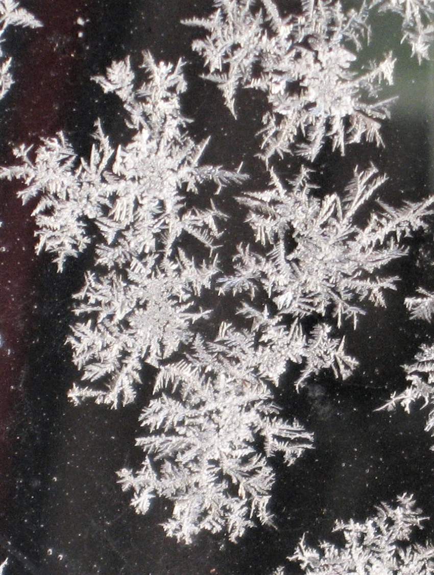 Solve Frost patterns jigsaw puzzle online with 63 pieces