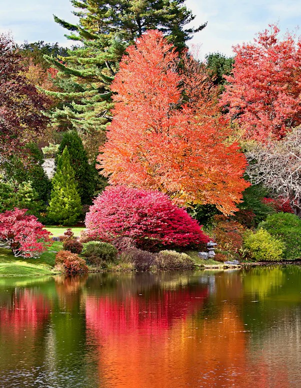 Solve Autumn reflections jigsaw puzzle online with 120 pieces