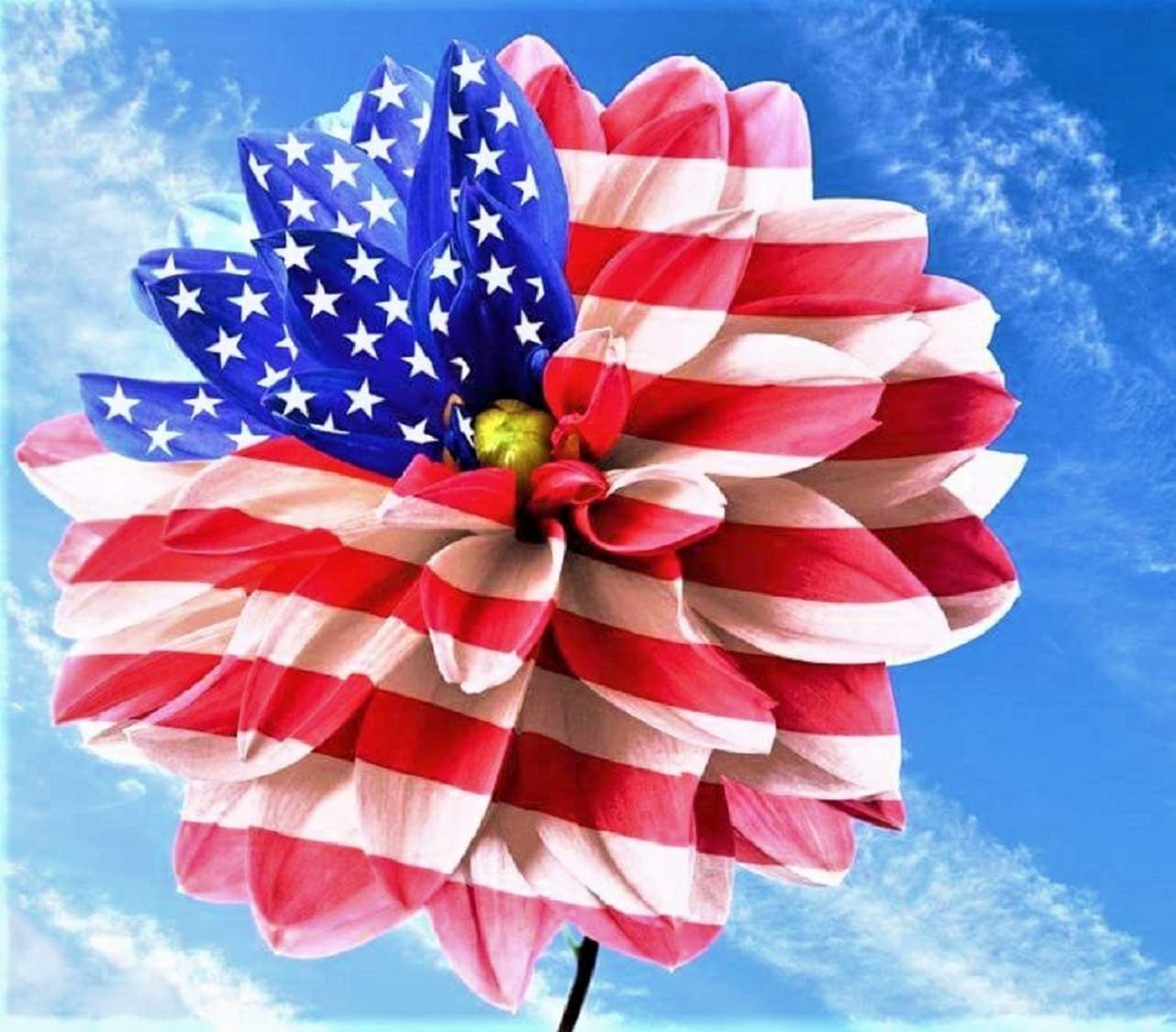 Solve THEME: Happy July 4th jigsaw puzzle online with 72 pieces