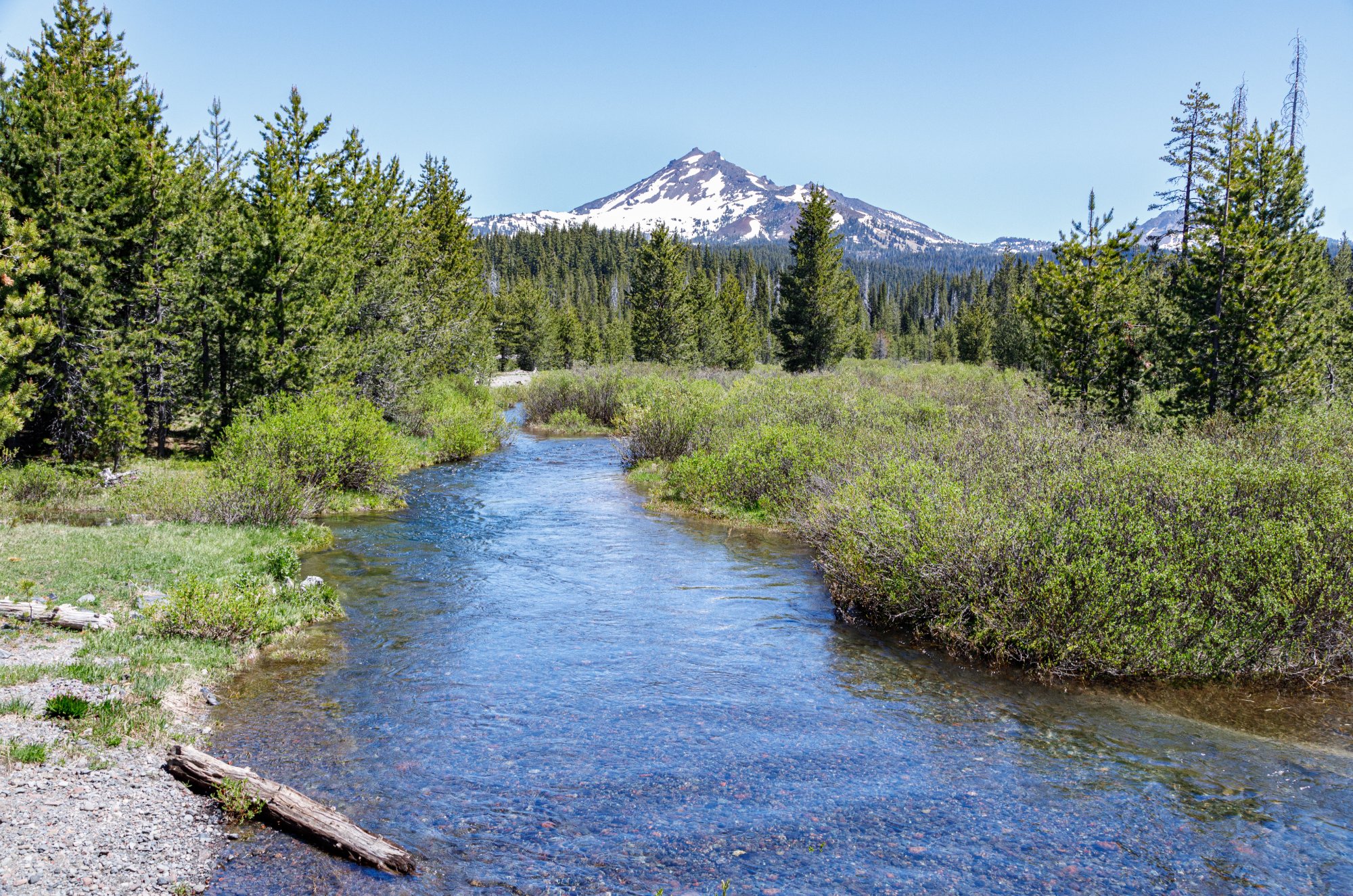 Solve AN OREGON STREAM jigsaw puzzle online with 96 pieces