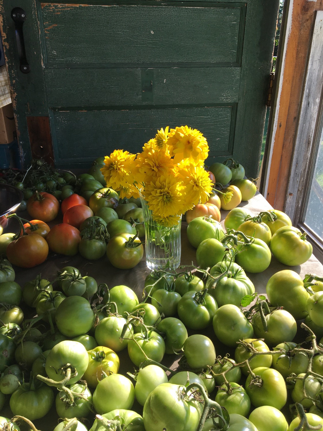 Solve The tomato station jigsaw puzzle online with 594 pieces