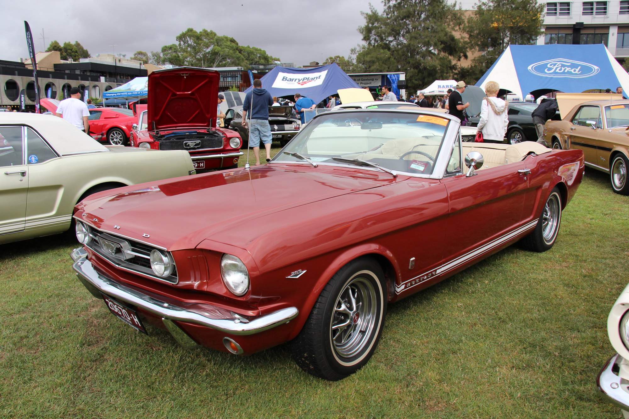 Solve Ford Mustang GT Convertible - 1966 jigsaw puzzle online with 216 ...