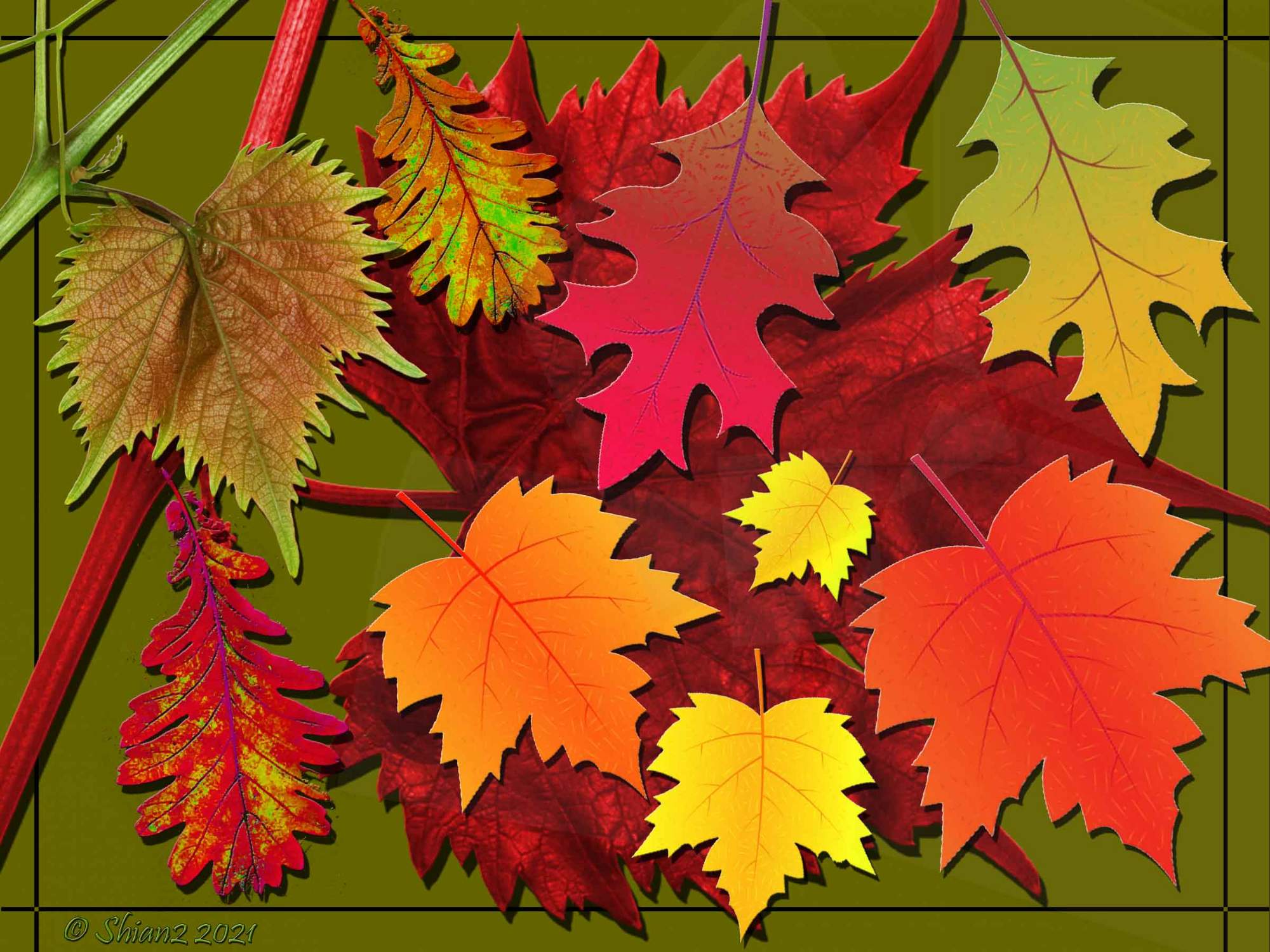 Solve Theme: Autumn Leaves jigsaw puzzle online with 221 pieces