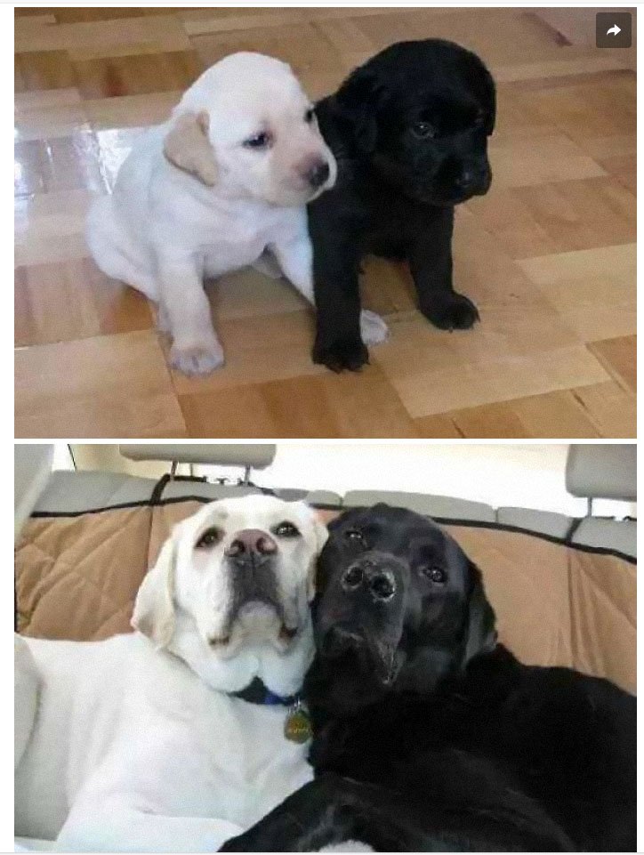 Solve Growing Up and Growing Old, Together. jigsaw puzzle online with ...