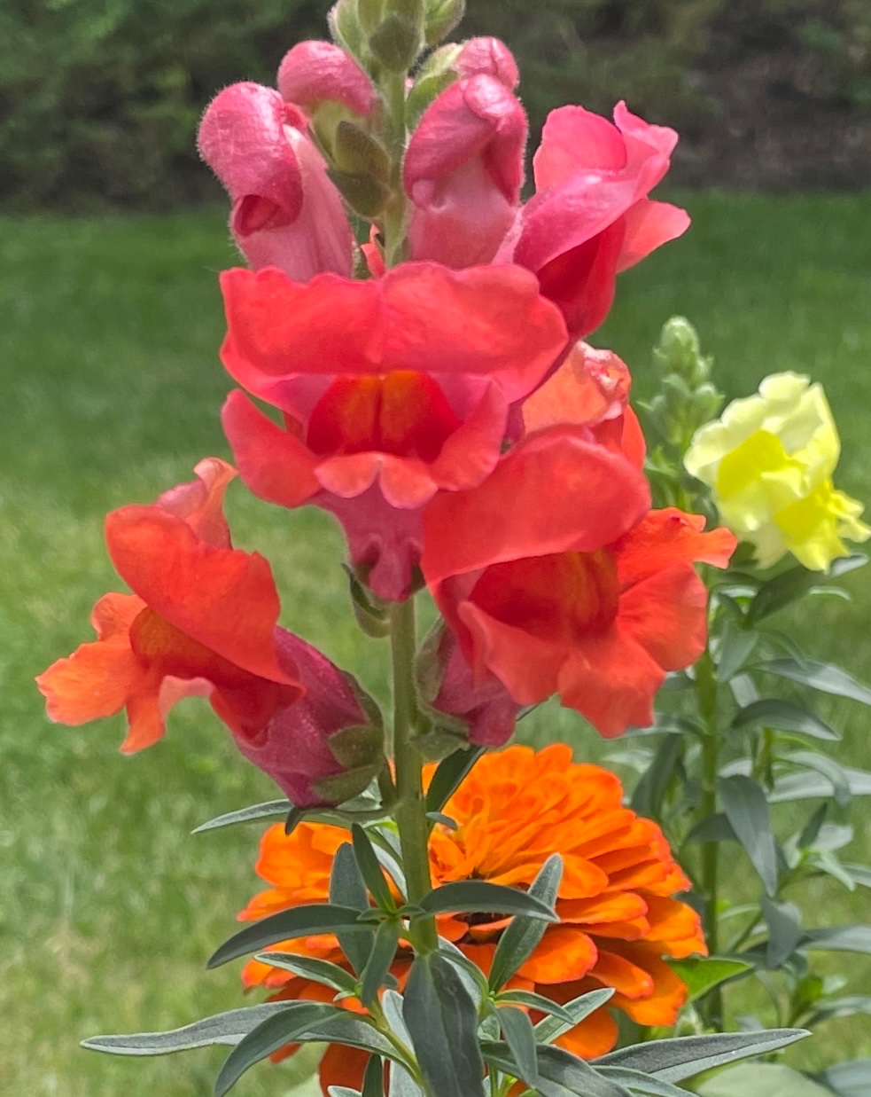 Solve Snappy Summer Color jigsaw puzzle online with 63 pieces