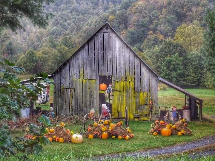 Solve barn pumpkins jigsaw puzzle online with 88 pieces