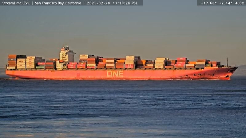 Solve ONE Orpheus 2/28/25 jigsaw puzzle online with 66 pieces