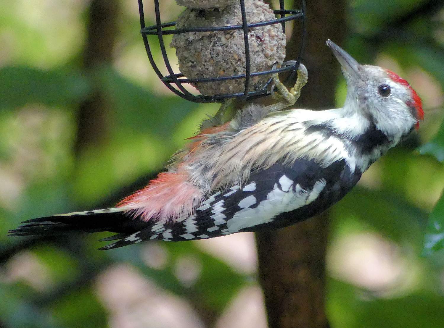 Solve my very first one!!! jigsaw puzzle online with 63 pieces