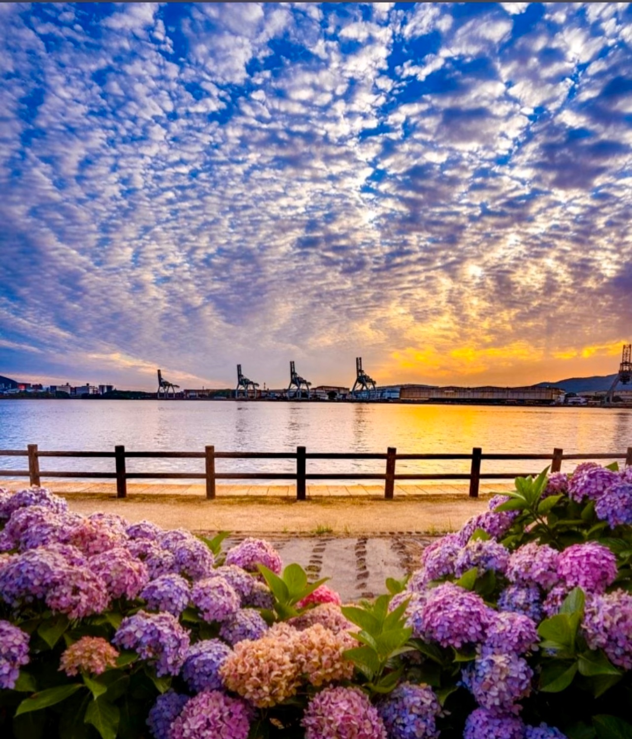 Jigsaw Puzzle | 72 pieces | Beautiful Scenery | Jigidi